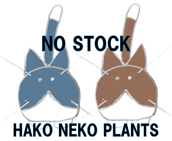 HAKONEKO PLANTS | 塊根植物、希少植物の専門店